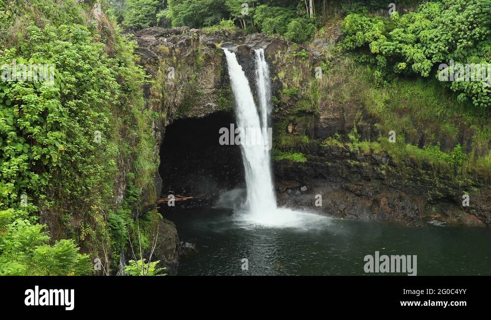 Hawaii rain forest Stock Videos & Footage - HD and 4K Video Clips - Alamy