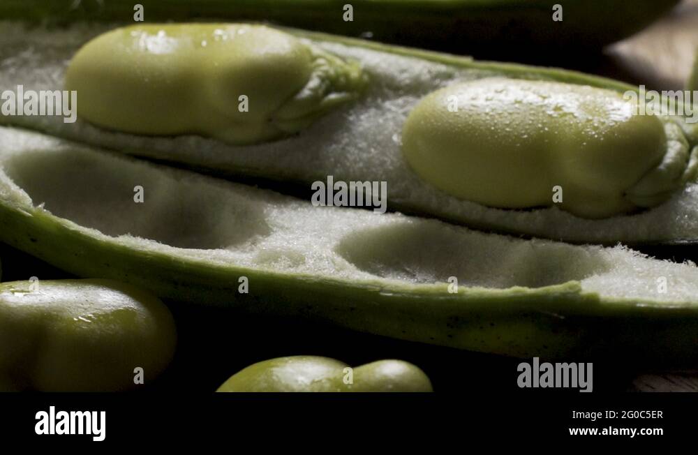 Broad beans in pod Stock Videos & Footage - HD and 4K Video Clips - Alamy