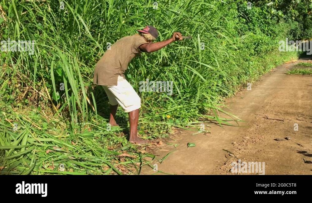 Roadside grass cutting Stock Videos & Footage - HD and 4K Video Clips ...
