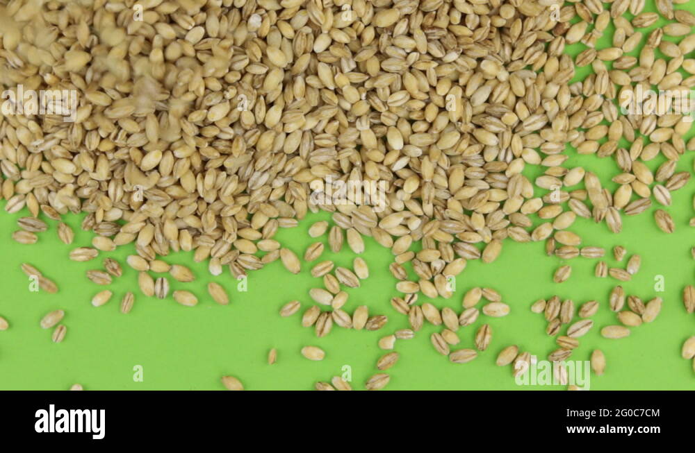 Falling pearl barley grains on a rotating green screen, isolated Stock ...