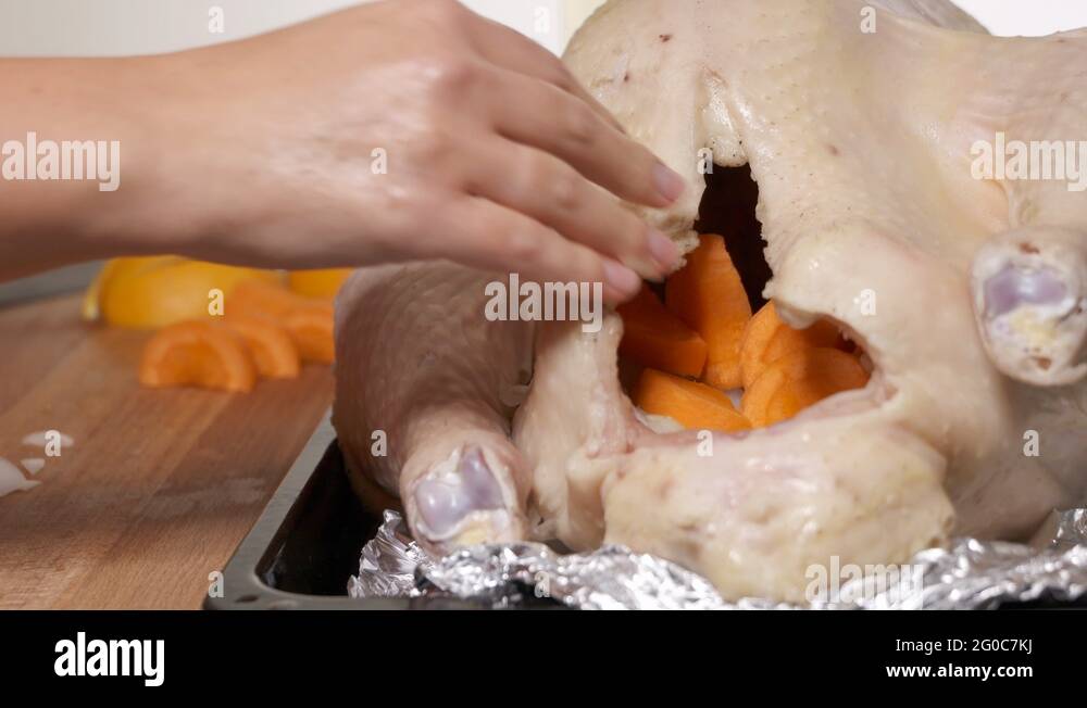 Preparing the Thanksgiving turkey. Putting stuffing into the cavity of ...