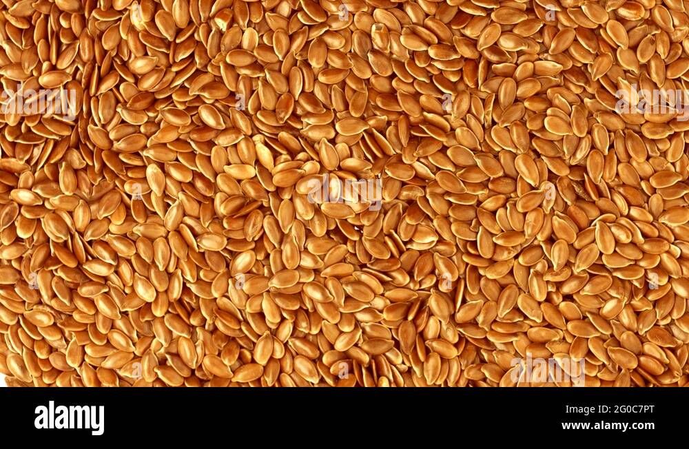 Lin seed Stock Videos & Footage - HD and 4K Video Clips - Alamy