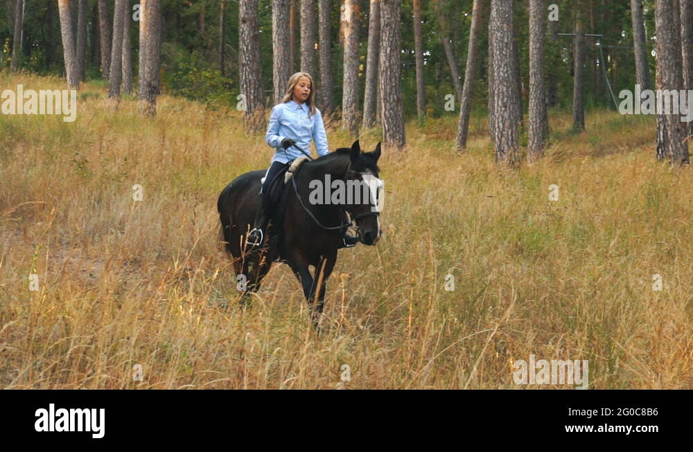 Horse riding in woods Stock Videos & Footage - HD and 4K Video Clips ...