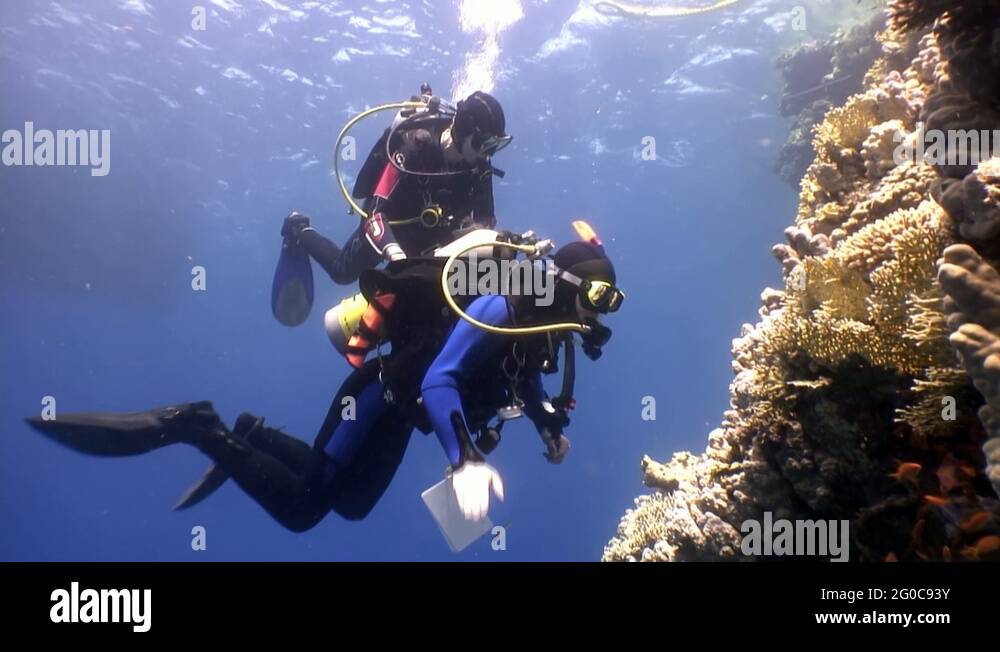 Two deepwater scuba divers swimming near coral reefs underwater in Red ...
