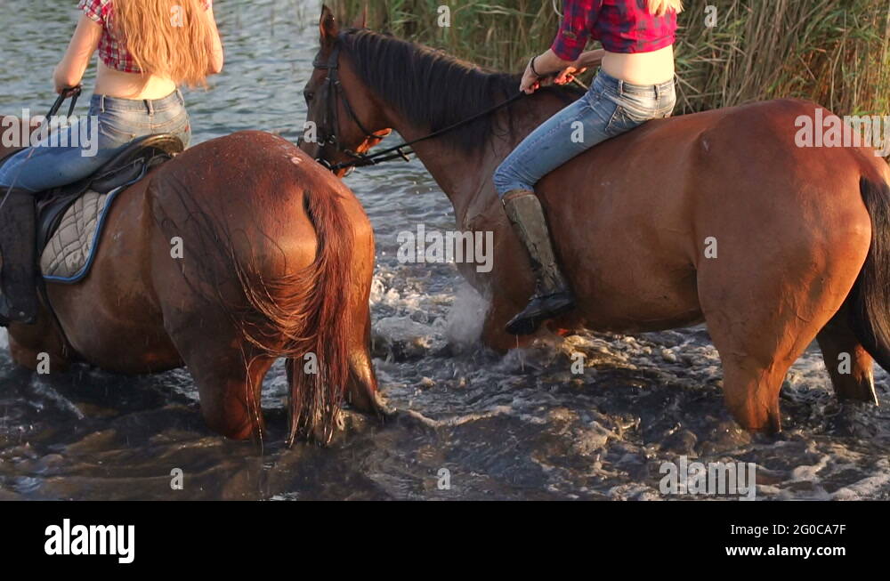 Horses in lake Stock Videos & Footage - HD and 4K Video Clips - Alamy