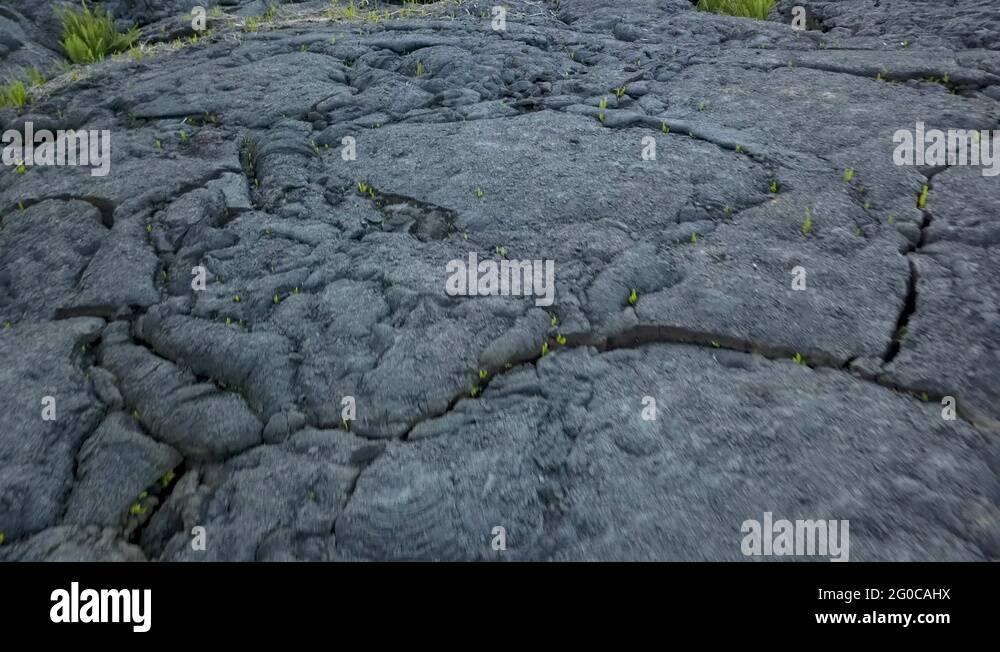 Ecosystem volcano lava Stock Videos & Footage - HD and 4K Video Clips ...