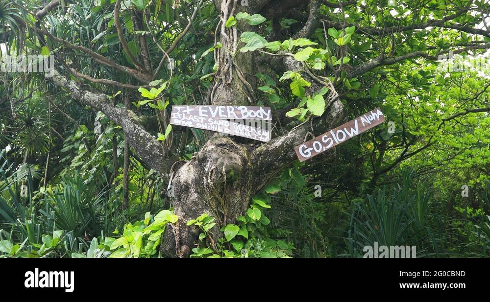 Painted warning sign Stock Videos & Footage - HD and 4K Video Clips - Alamy