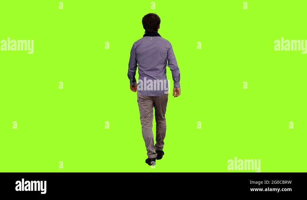 Back view of elegant man in blue shirt walks on green screen background ...