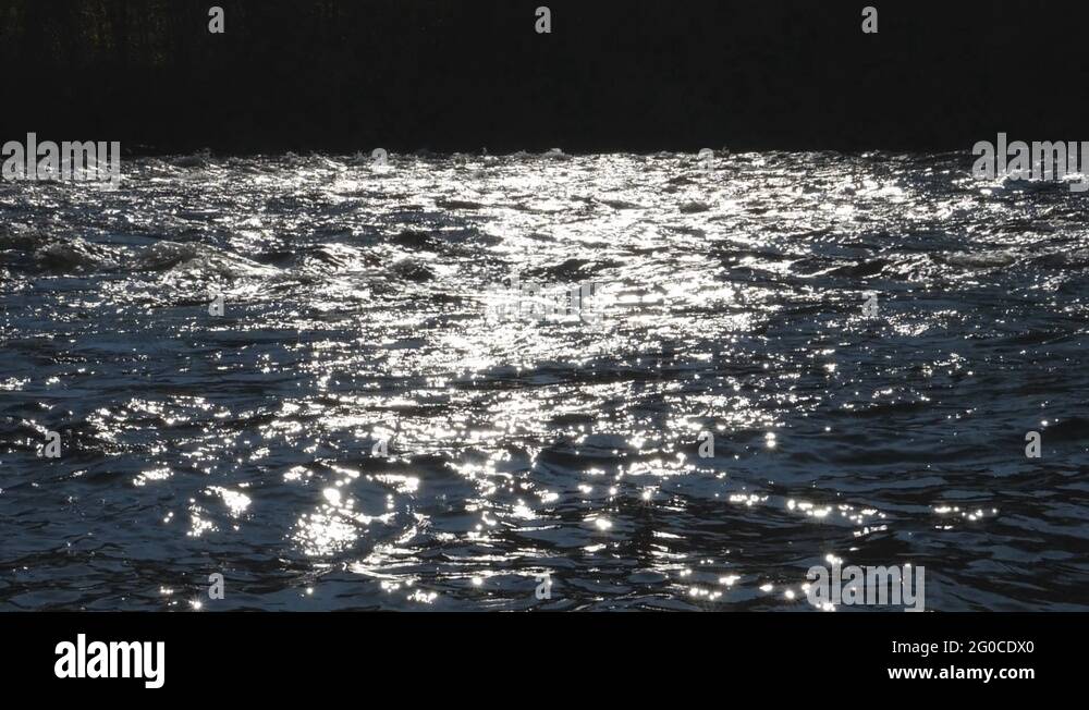Sunlight high contrast Stock Videos & Footage - HD and 4K Video Clips ...