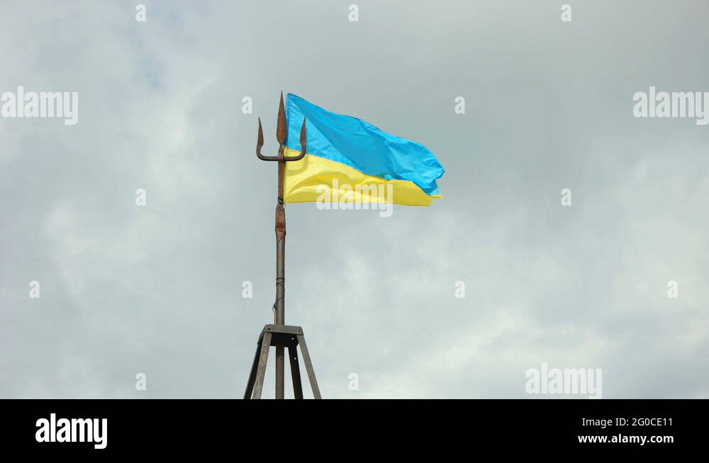 Ukraine coat of arms Stock Videos & Footage - HD and 4K Video Clips - Alamy