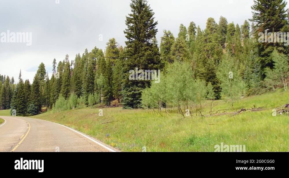 North rim drive Stock Videos & Footage - HD and 4K Video Clips - Alamy