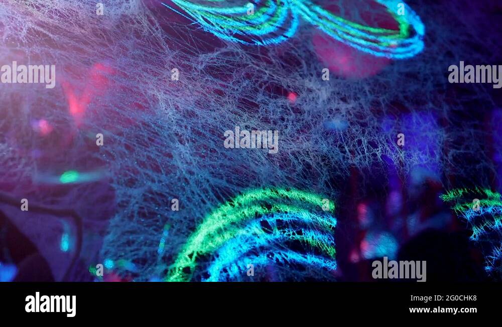 Shiny spider web for halloween Stock Videos & Footage - HD and 4K Video ...