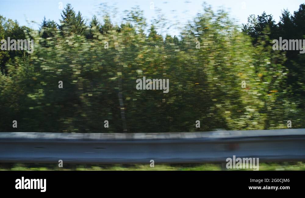 Highway Car Side View of Green Forest in Slow motion 4K Stock Video ...