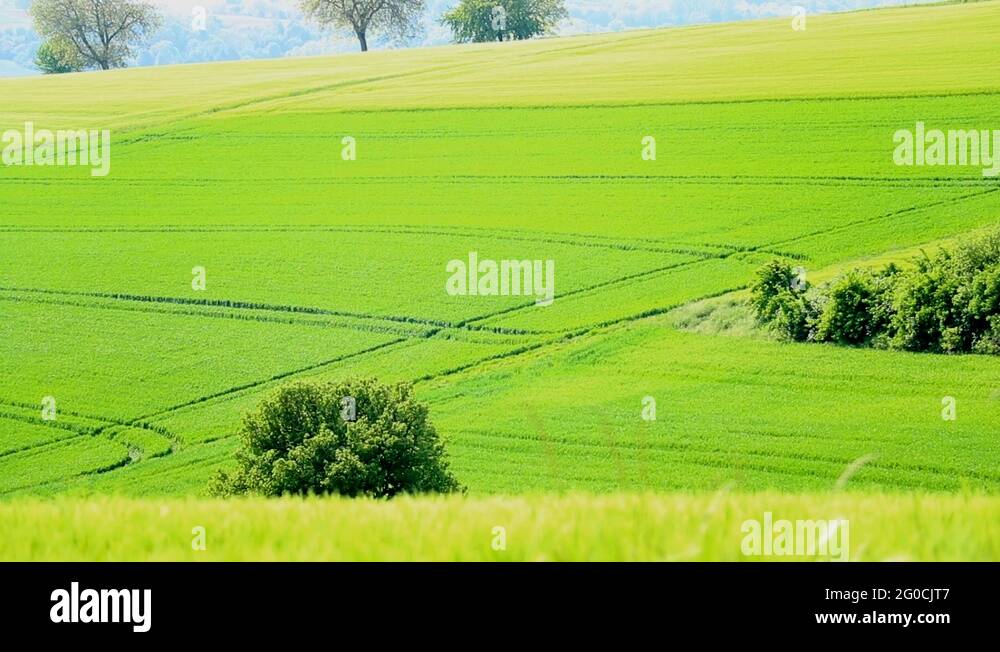 A view of green Stock Videos & Footage - HD and 4K Video Clips - Alamy