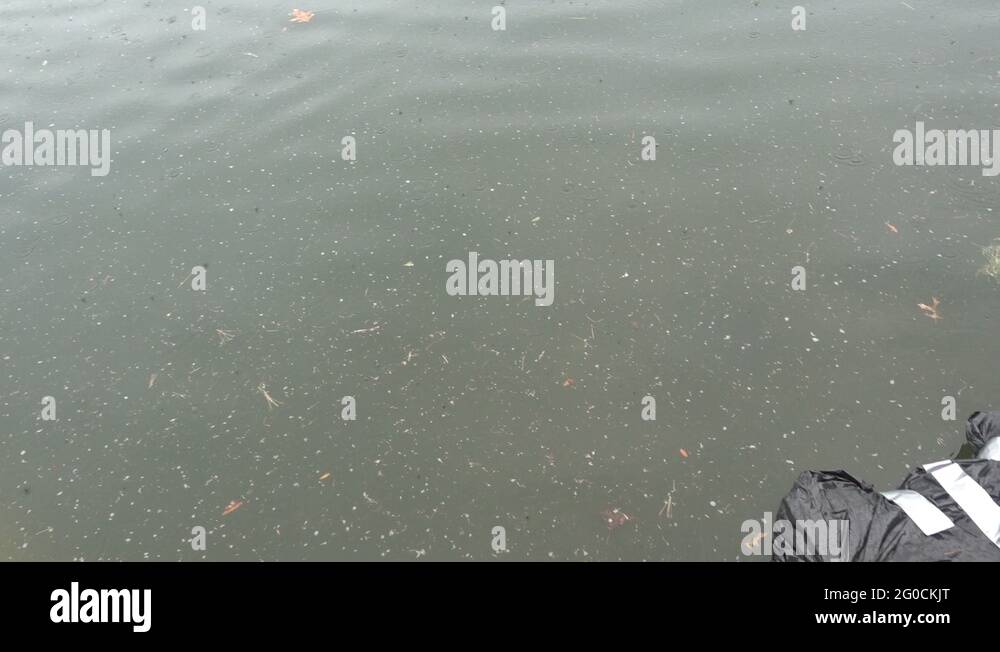 Dead body in water Stock Videos & Footage - HD and 4K Video Clips - Alamy