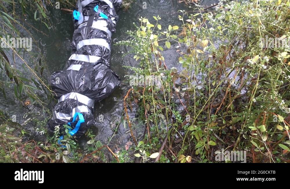 Corpse prop Stock Videos & Footage - HD and 4K Video Clips - Alamy