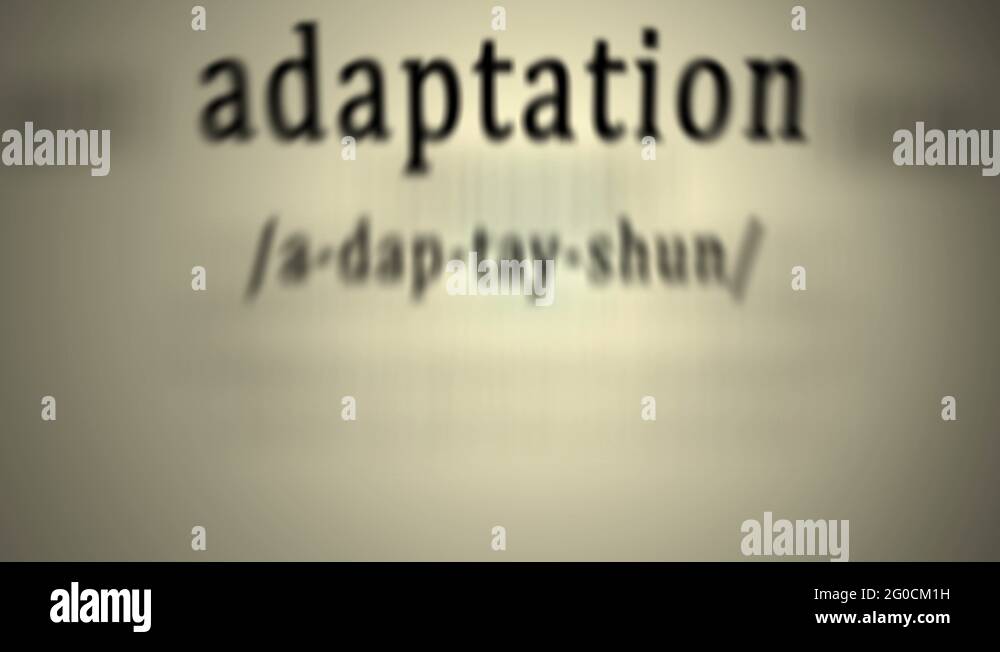 Acclimatisation Stock Videos & Footage - HD and 4K Video Clips - Alamy