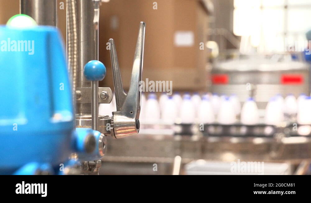 Milk bottles in a continuous line ride on a figurative conveyor line at ...