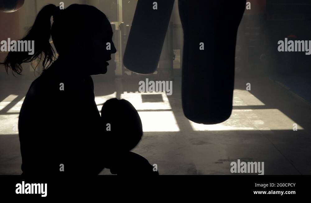 Silhouette female boxer Stock Videos & Footage - HD and 4K Video Clips ...