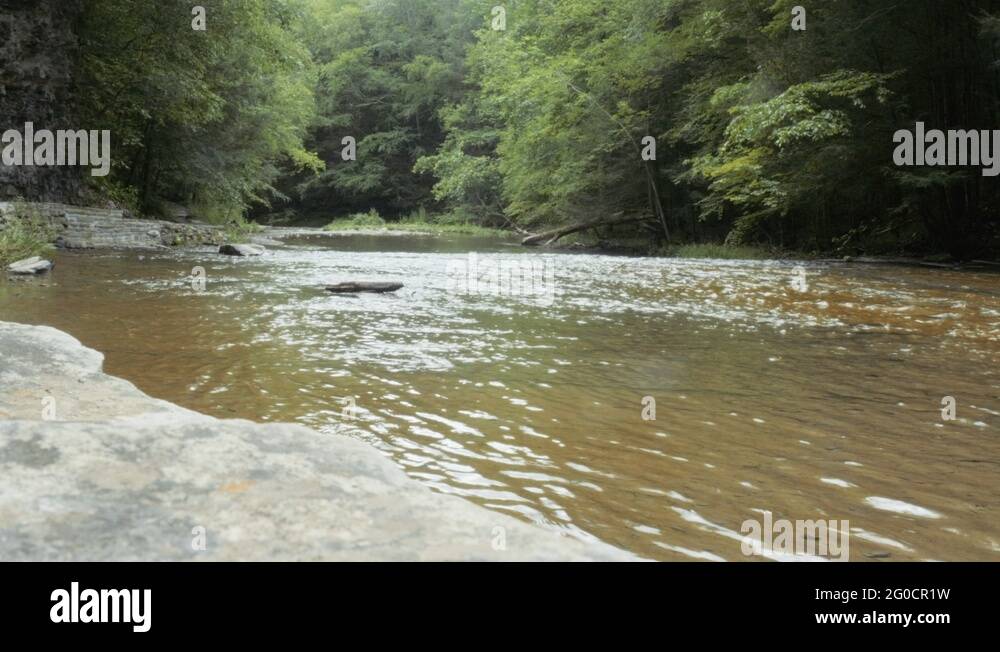Rock riverbed Stock Videos & Footage - HD and 4K Video Clips - Alamy