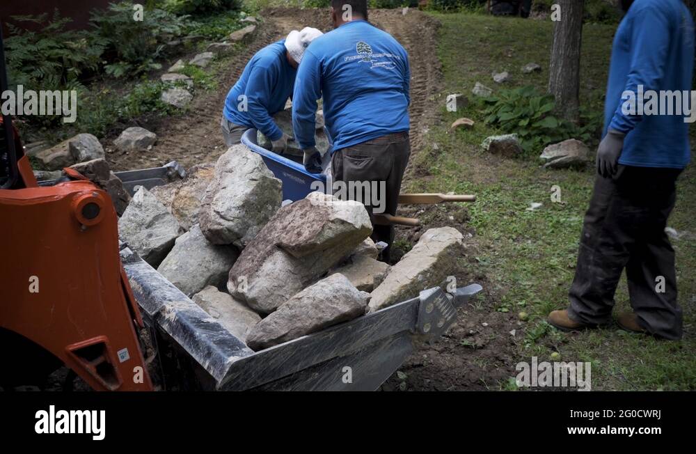 Large rocks are lifted by hand out of a wheelbarrow and put into the ...