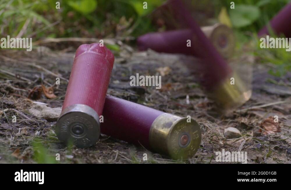 Red shotgun shells Stock Videos & Footage - HD and 4K Video Clips - Alamy