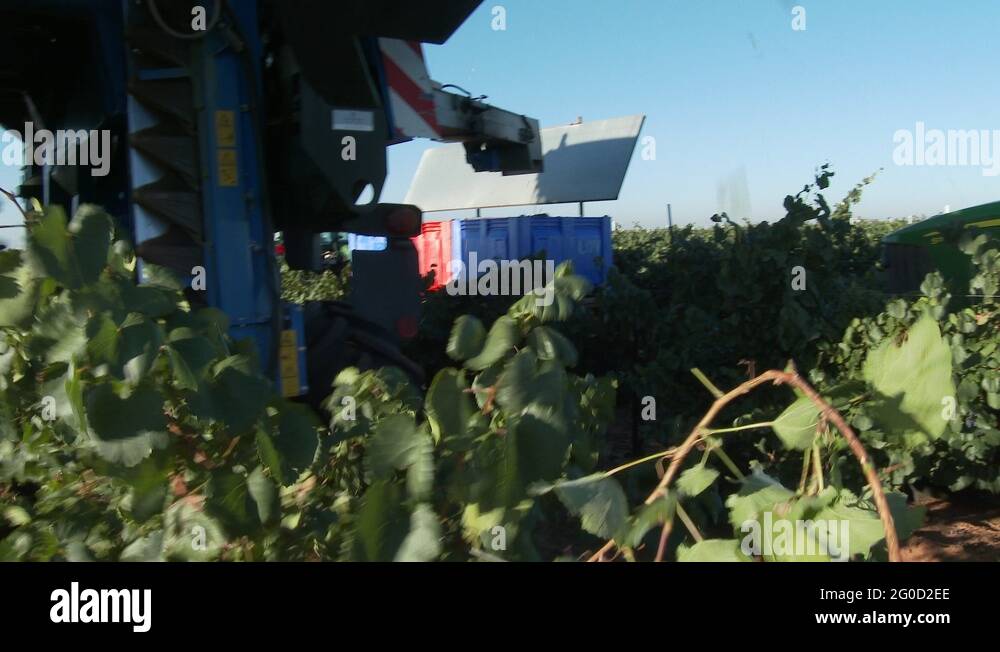 Robotic grape picking Stock Videos & Footage - HD and 4K Video Clips ...