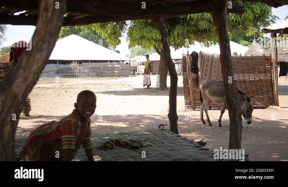 Traditional village of Mandinka ethnicity - Guinea, Africa Stock Video ...