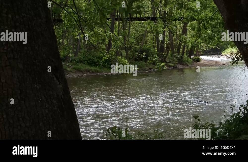 Wooded river landscape Stock Videos & Footage - HD and 4K Video Clips ...