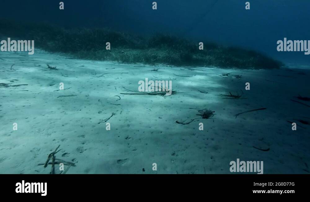 Boat shadow Stock Videos & Footage - HD and 4K Video Clips - Alamy