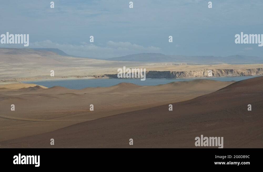 Paracas nature reserve Stock Videos & Footage - HD and 4K Video Clips ...