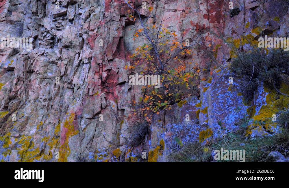 Rhyolite cliff Stock Videos & Footage - HD and 4K Video Clips - Alamy