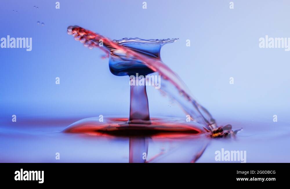 Water droplet splash art Stock Videos & Footage - HD and 4K Video Clips ...