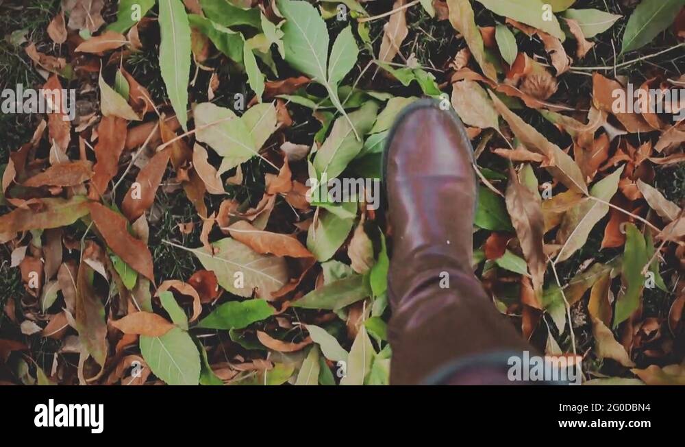 female legs in brown boots go on fall foliage in the Park Stock Video ...