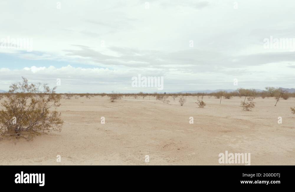 Dry scrubby habitat Stock Videos & Footage - HD and 4K Video Clips - Alamy