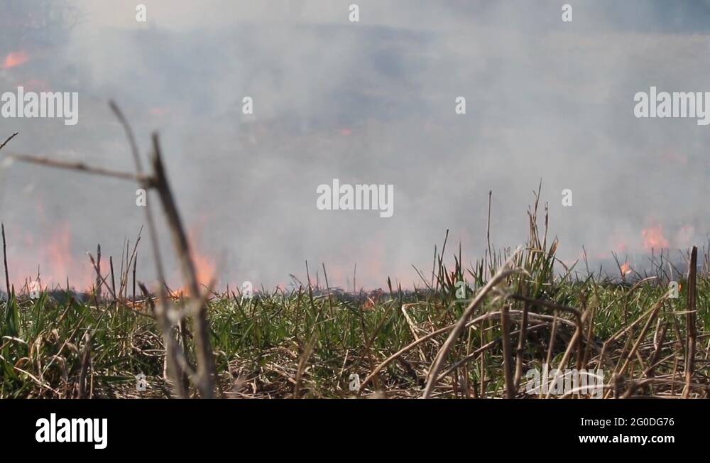 Controlled fire Stock Videos & Footage - HD and 4K Video Clips - Alamy