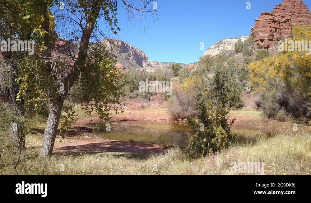 Arizona desert trees Stock Videos & Footage - HD and 4K Video Clips - Alamy