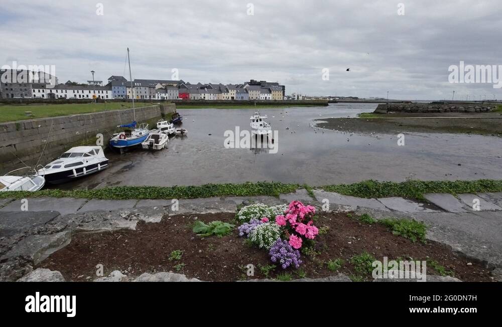 Irish walkway Stock Videos & Footage - HD and 4K Video Clips - Alamy