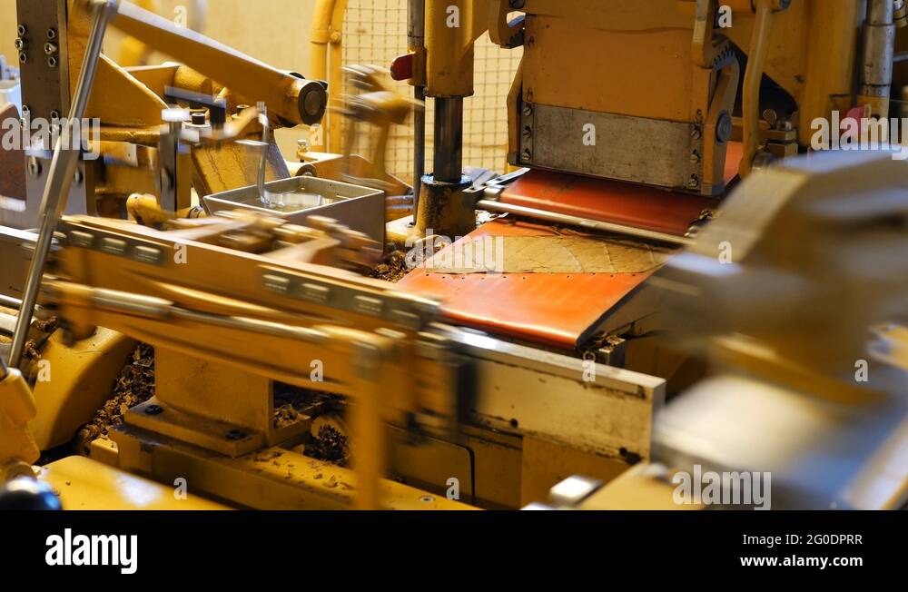 Cigar rolling machine inside a cigar factory producing homemade cigars ...