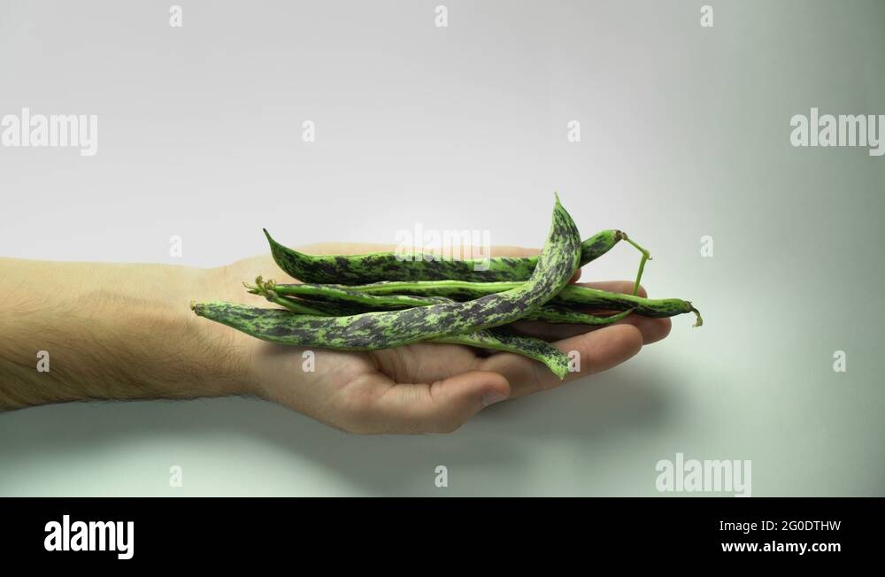 Lobia Stock Videos & Footage - HD and 4K Video Clips - Alamy