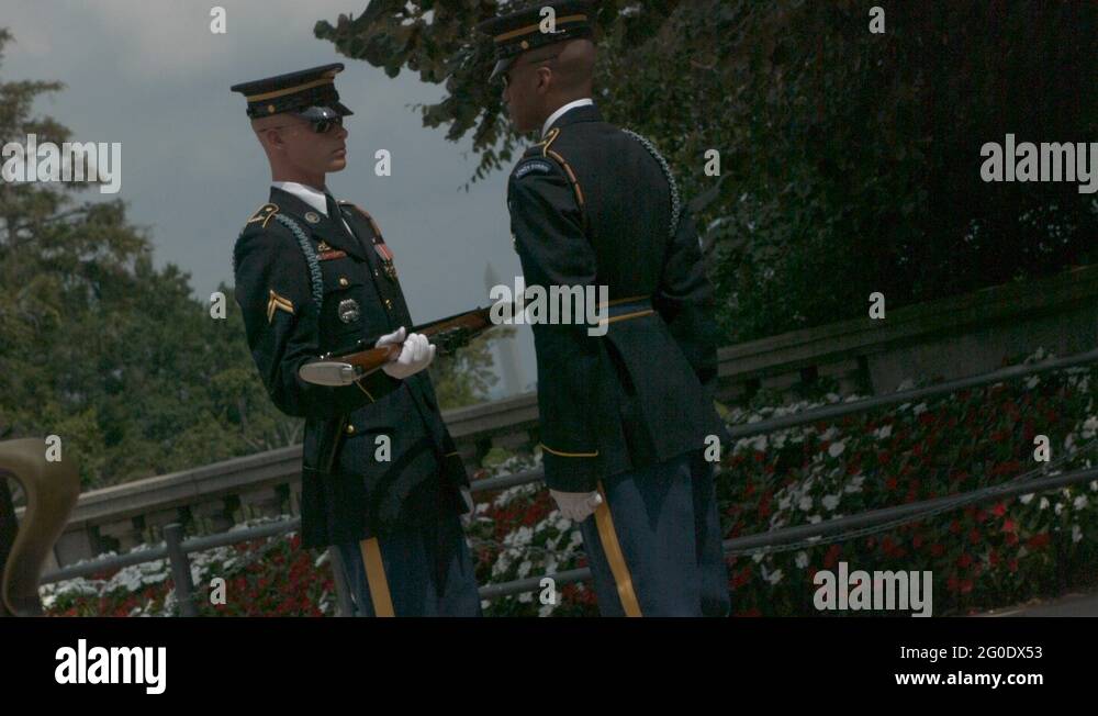 Wwi 21 gun salute Stock Videos & Footage - HD and 4K Video Clips - Alamy