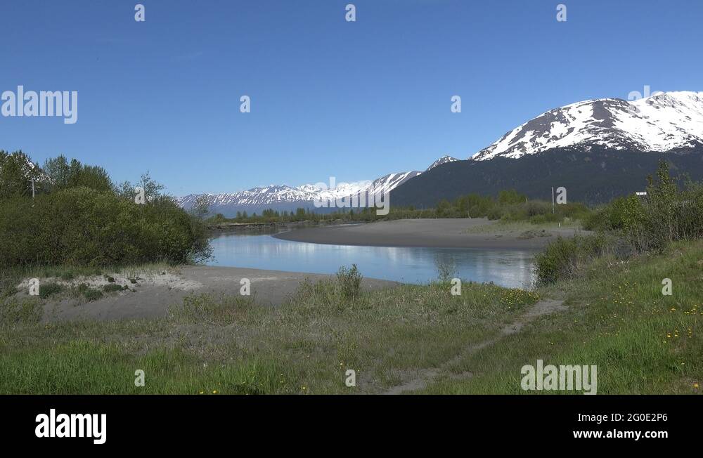Alaska insects Stock Videos & Footage - HD and 4K Video Clips - Alamy