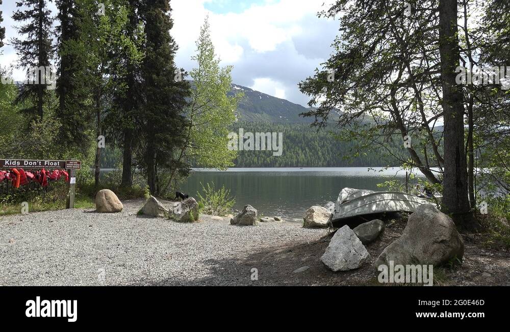 Alaska life Stock Videos & Footage - HD and 4K Video Clips - Alamy