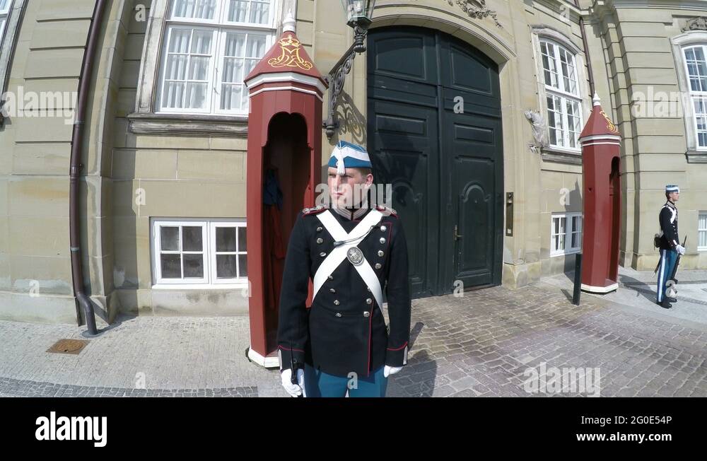 Bearskin royal guard Stock Videos & Footage - HD and 4K Video Clips - Alamy