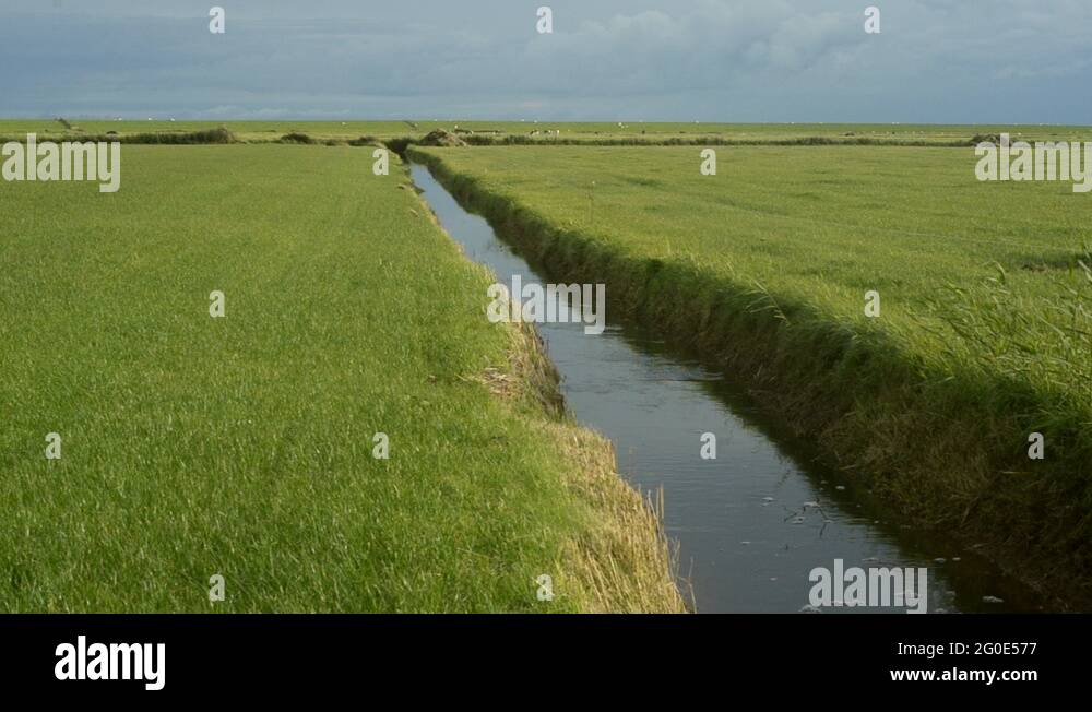 Canal water level change Stock Videos & Footage - HD and 4K Video Clips ...