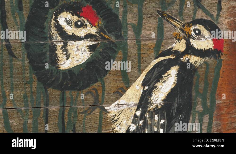 Signboard forest Stock Videos & Footage - HD and 4K Video Clips - Alamy