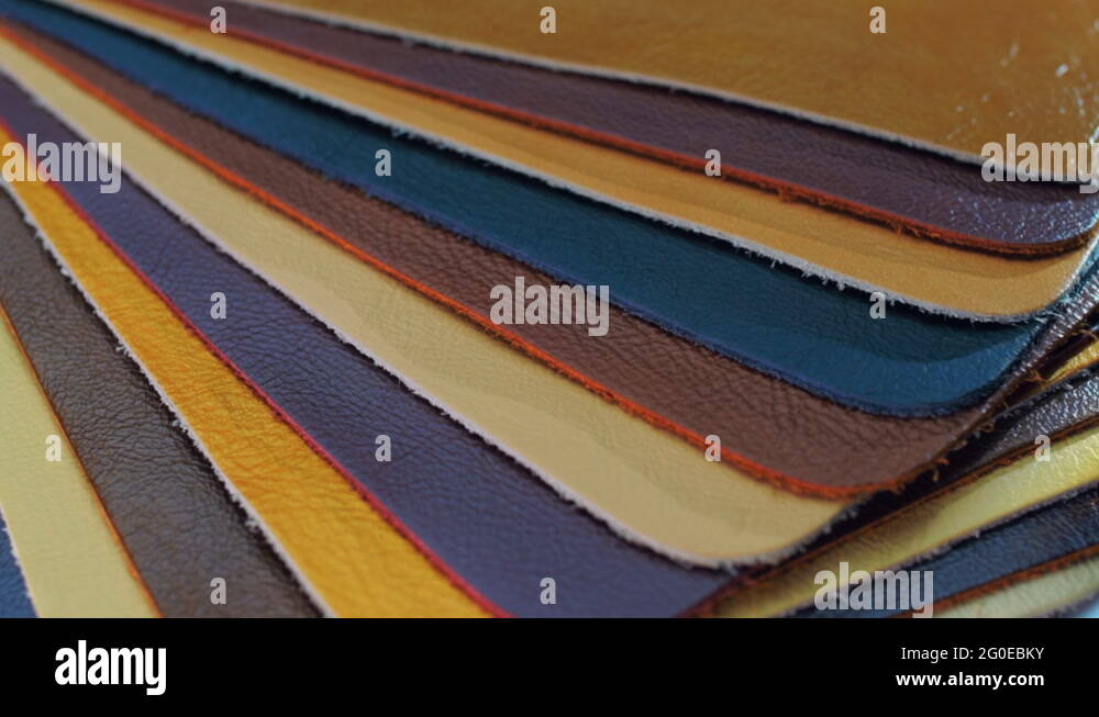 Structure, texture and surface pattern of rotation samples of skin ...