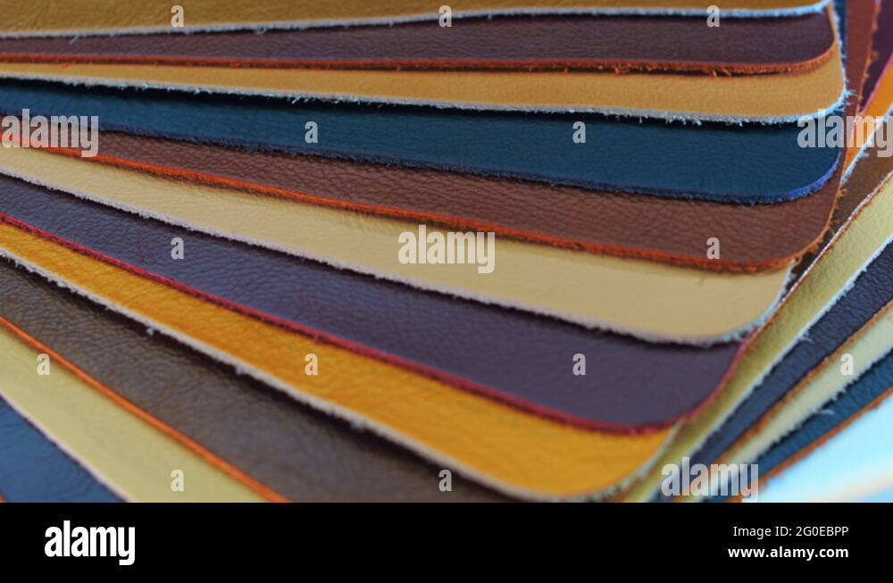 Structure, texture and surface pattern of rotation samples of skin ...