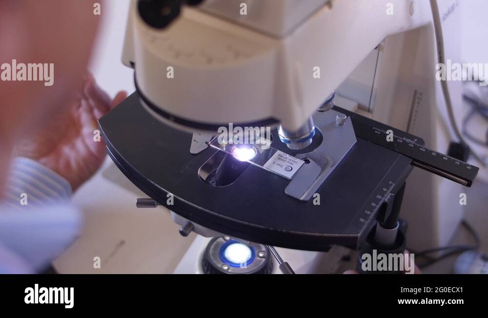 sample in glass slide undergoes microscopic testing in lab Stock Video ...