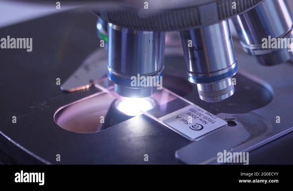 sample in glass slide undergoes microscopic testing in lab Stock Video ...
